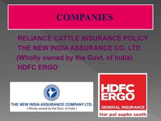 Cattle insurance | PPTX