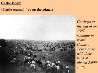 Cattle kingdom | PPT