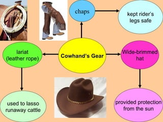 Cattle kingdom | PPT