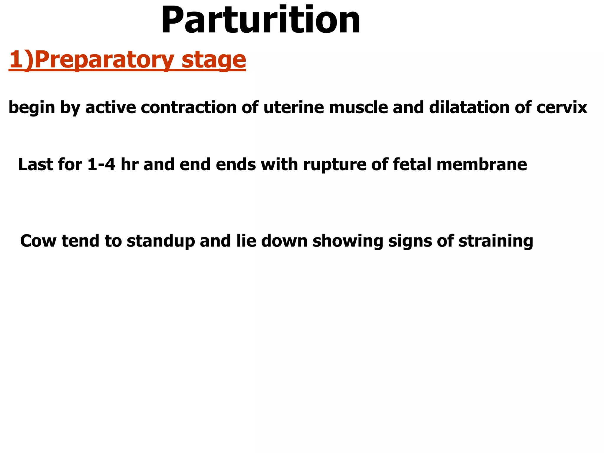 Lecture 1: Cattle Management | PPTX