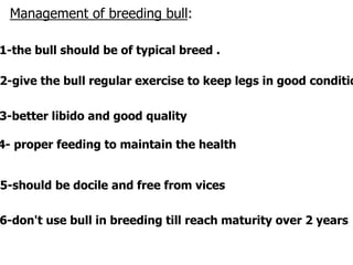 Lecture 1: Cattle Management | PPTX