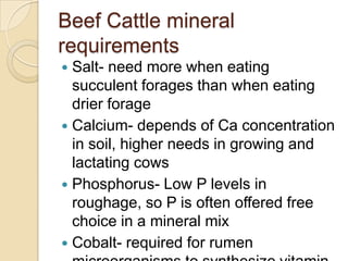 Cattle Nutrition | PPTX
