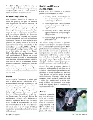 Cattle Production: Considerations for Pasture-Based Beef and Dairy ...
