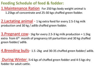 Cattle production | PPTX