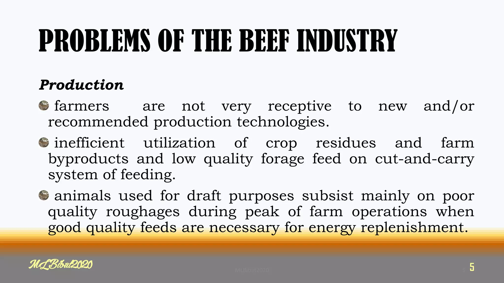Cattle production | PDF