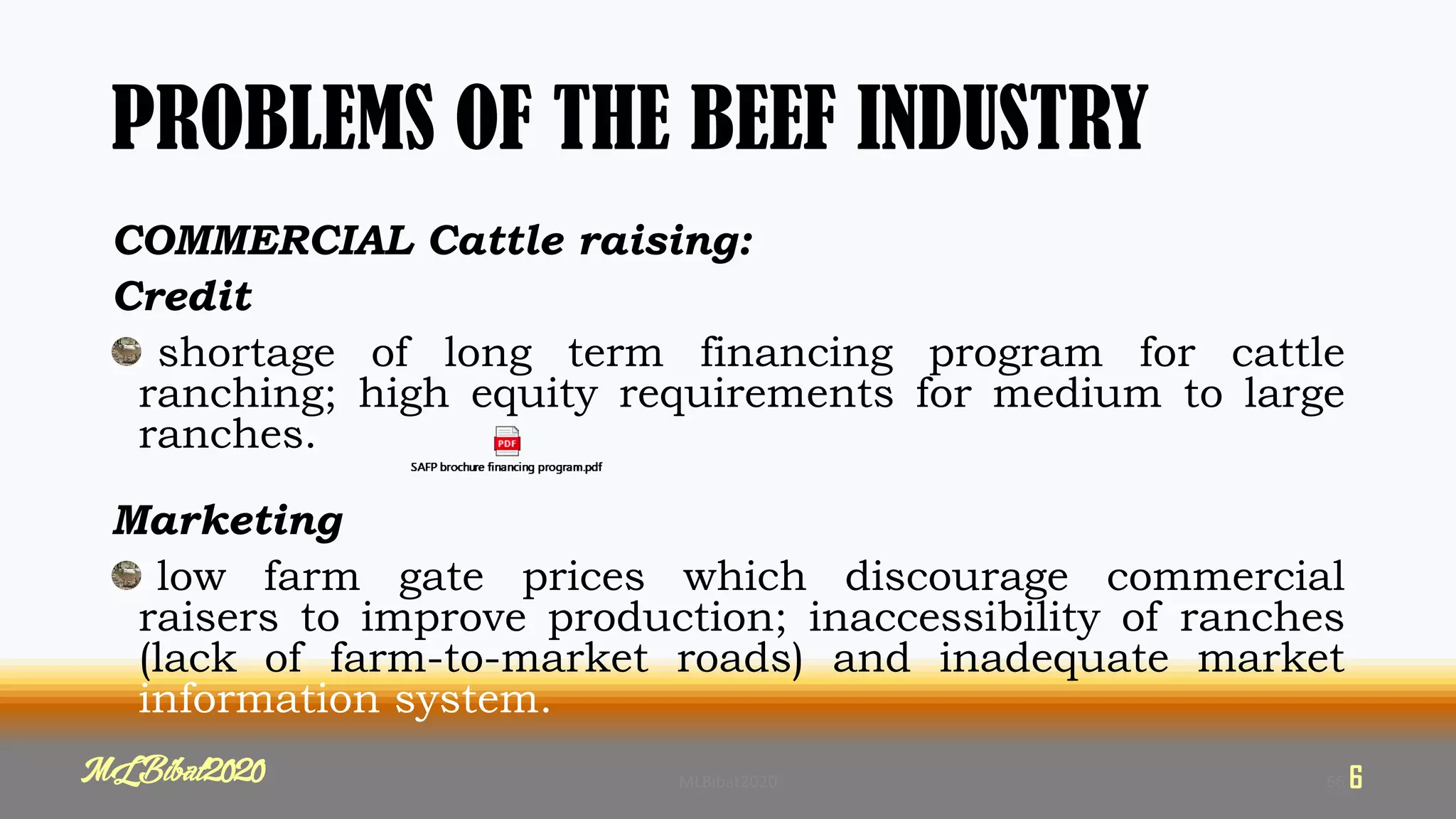 Cattle production | PDF