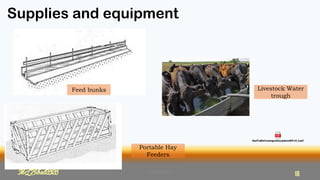 Cattle production | PDF