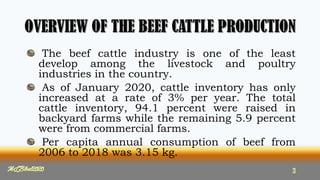 Cattle production | PDF