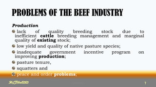 Cattle production | PDF