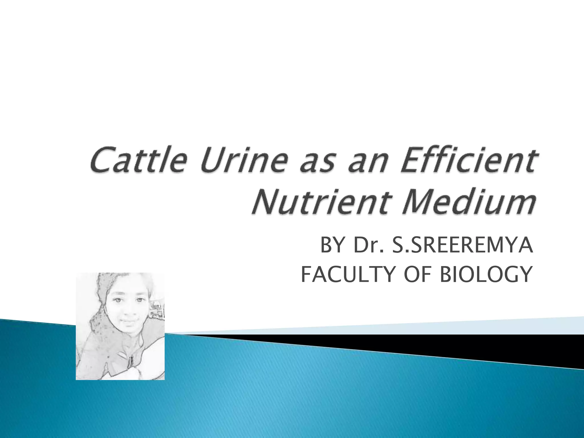 Cattle urine as an efficient nutrient medium | PPTX
