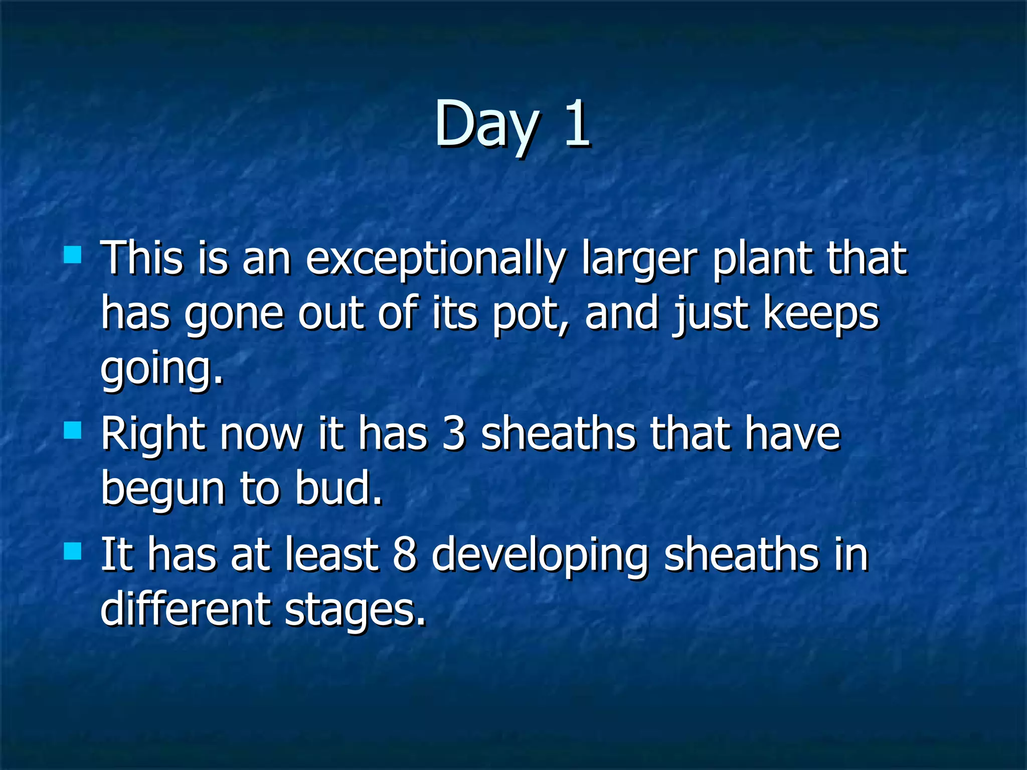 cattleya timeline part 1 | PPT