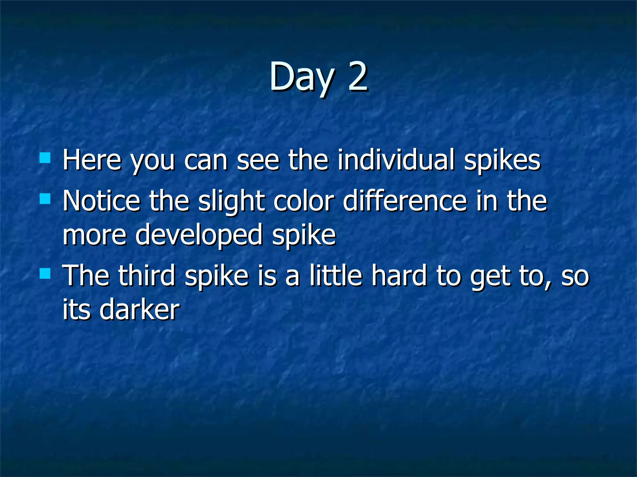 cattleya timeline part 1 | PPT