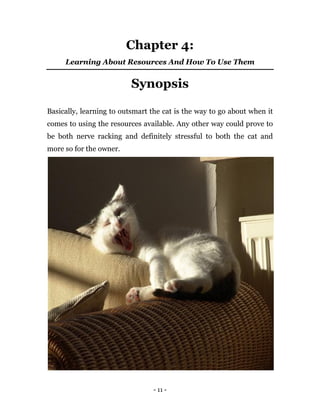 Cat training techniques | PDF