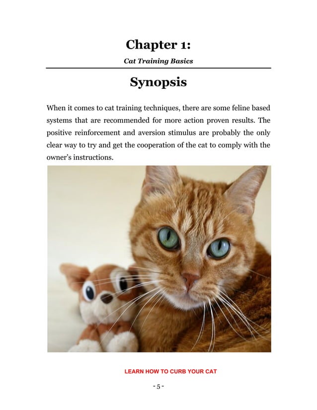 Cat training techniques | PDF