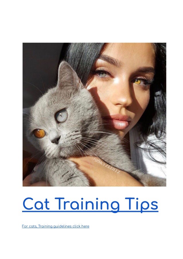 Cat Training Tips.pdf