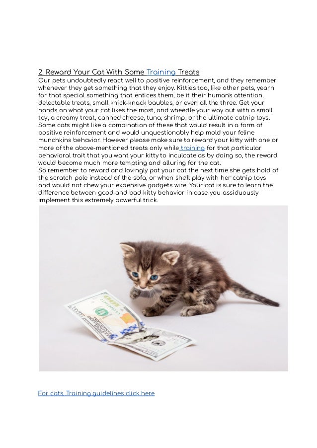 Cat Training Tips.pdf