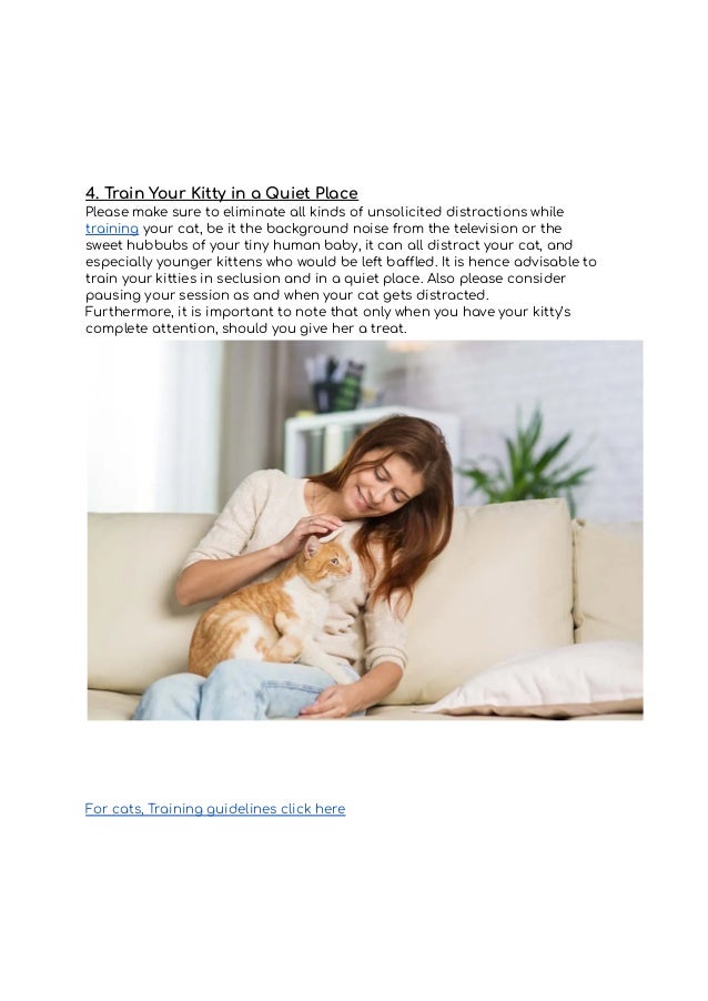 Cat Training Tips.pdf