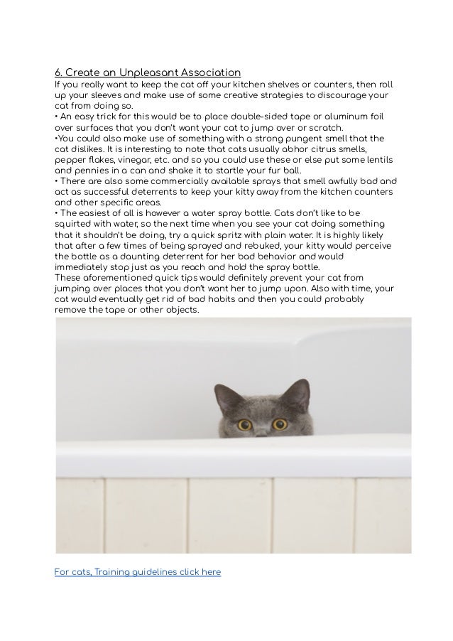 Cat Training Tips.pdf