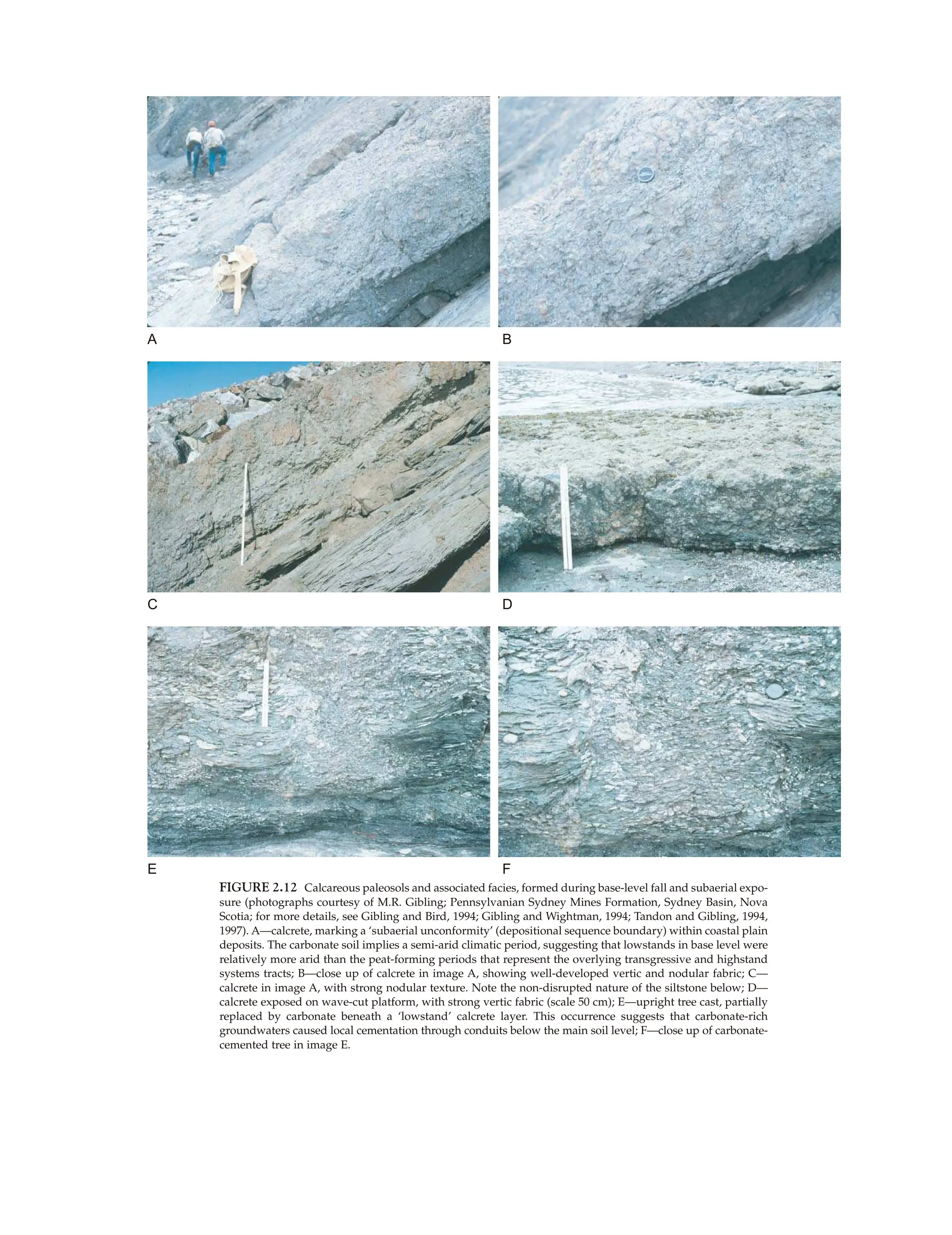 Catuneanu - Principles of Sequence Stratigraphy.pdf