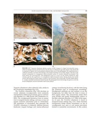 Catuneanu - Principles of Sequence Stratigraphy.pdf