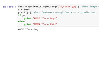 Deep Learning as a Cat/Dog Detector | PPT