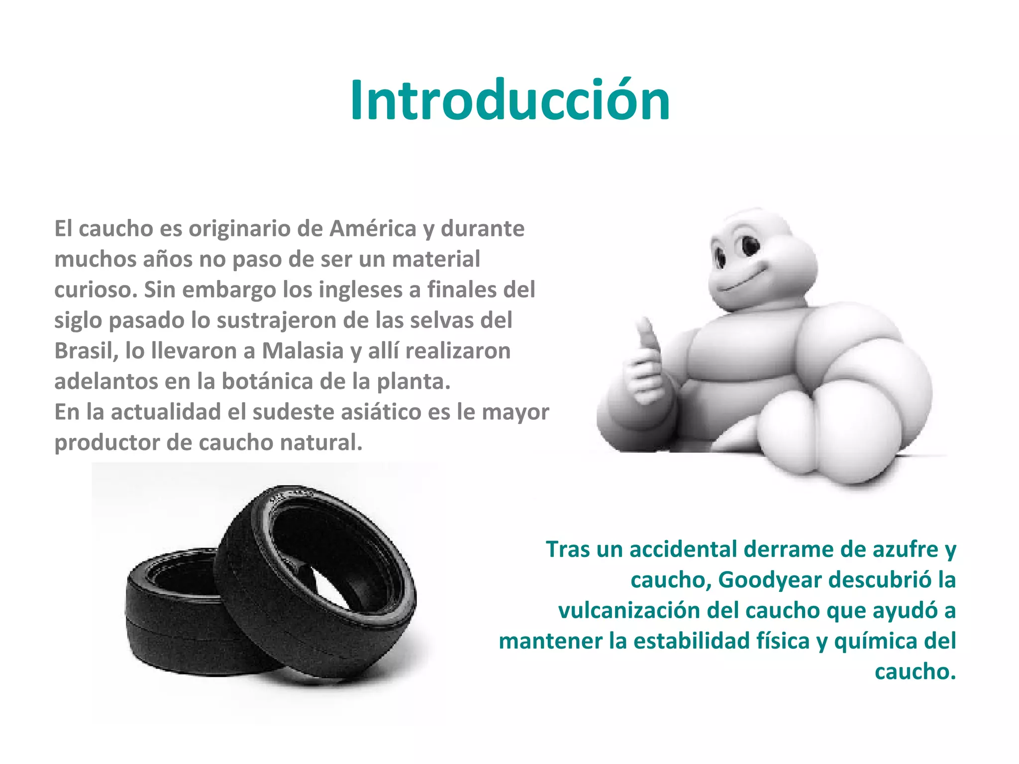 Caucho | PPT