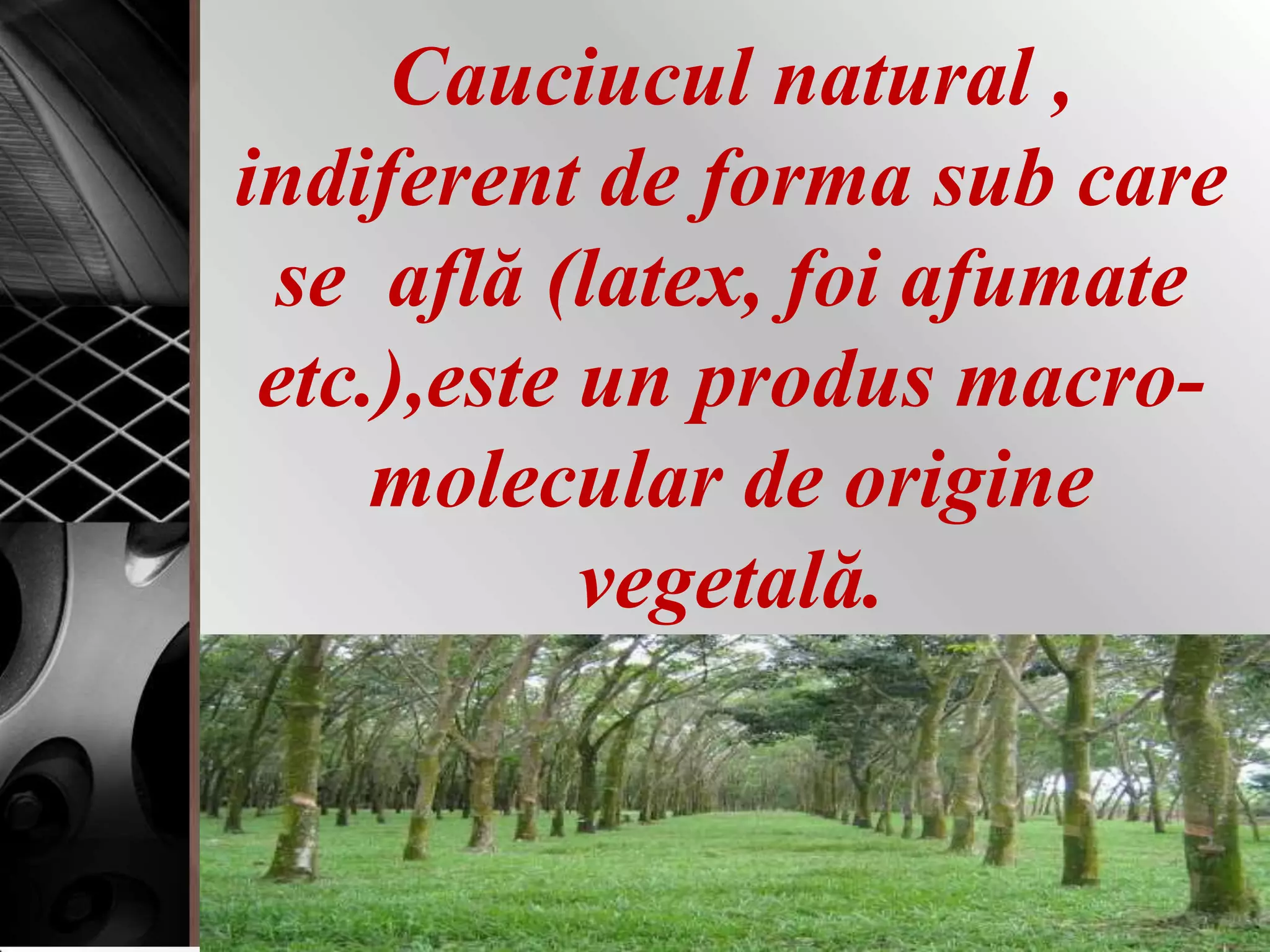 Cauciucul natural si sintetic | PPTX
