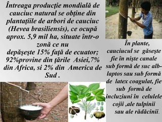 Cauciucul natural si sintetic | PPTX