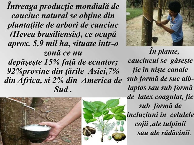 Cauciucul natural si sintetic | PPTX
