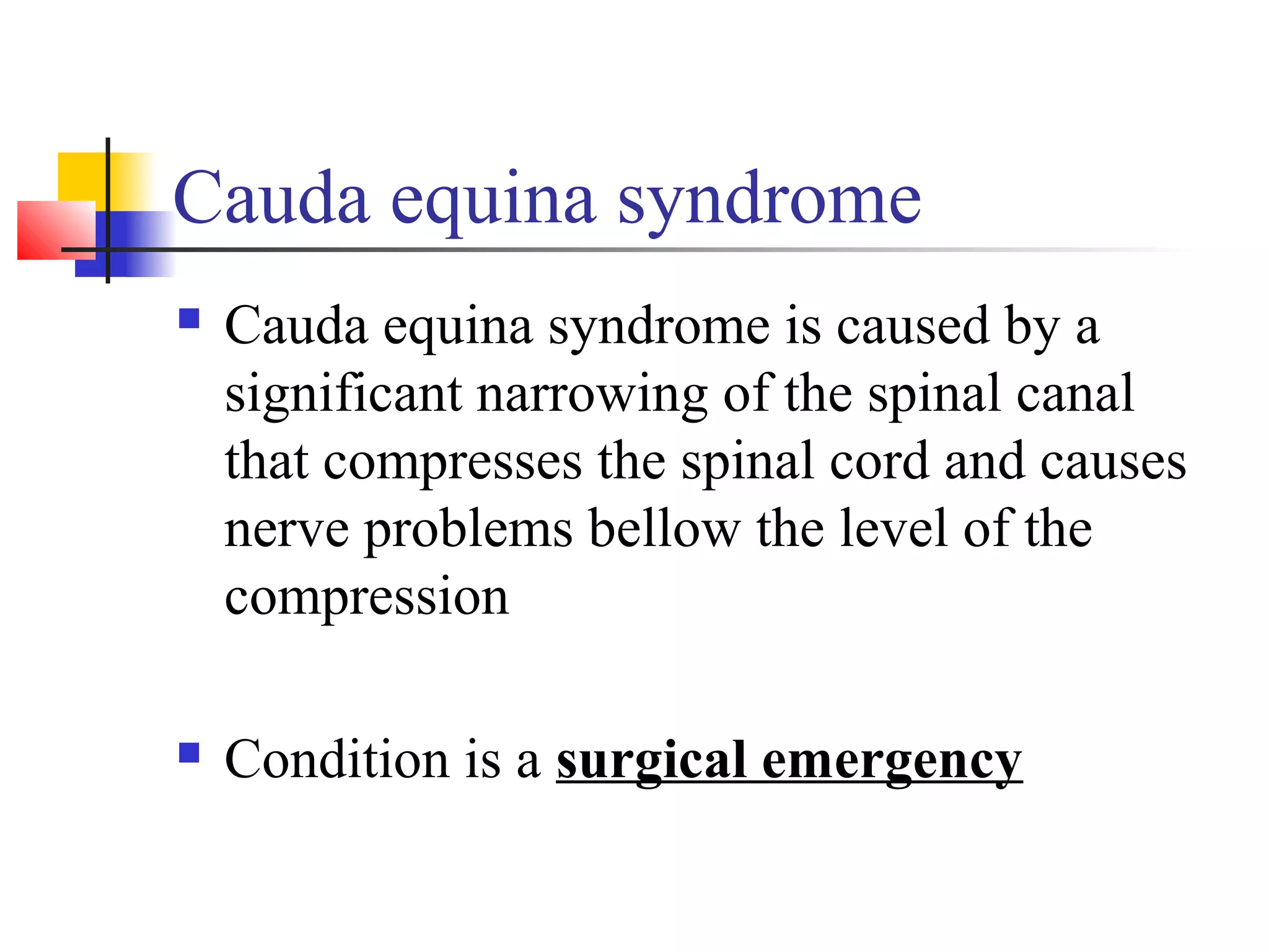 Cauda Equina Syndrome | PPT