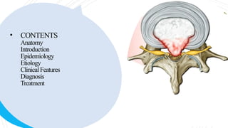Cauda Equina Syndrome its Clinical features .pptx