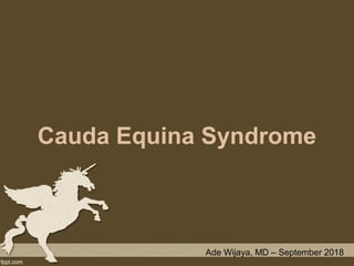 Cauda Equina Syndrome | PPT