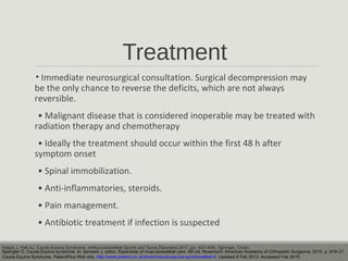 Cauda Equina Syndrome | PPT