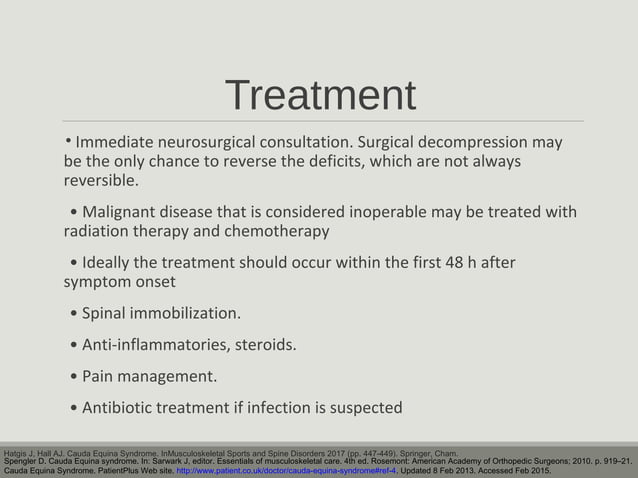 Cauda Equina Syndrome | PPT