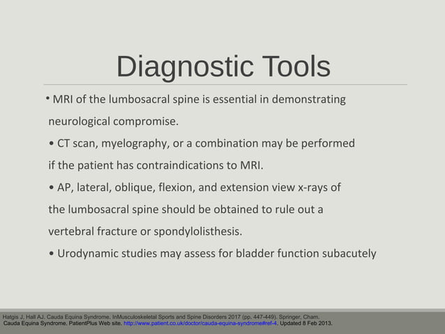 Cauda Equina Syndrome | PPT