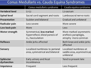 Conus Medullaris Syndrome Vs Cauda Equina Syndrome