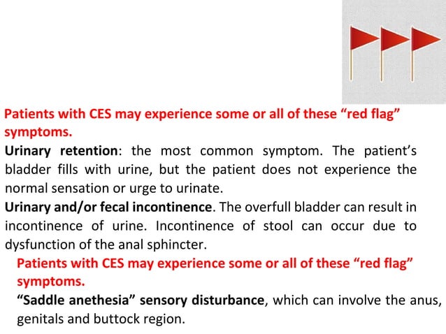 cauda equina syndrome 2021 (lumbar) .pdf