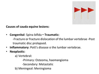 cauda equina syndrome 2021 (lumbar) .pdf