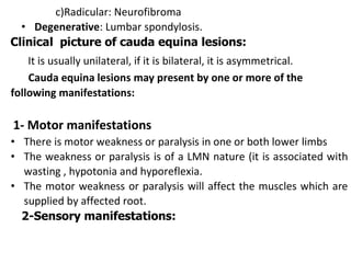 cauda equina syndrome 2021 (lumbar) .pdf