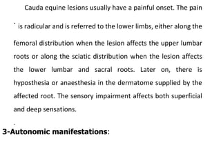 cauda equina syndrome 2021 (lumbar) .pdf