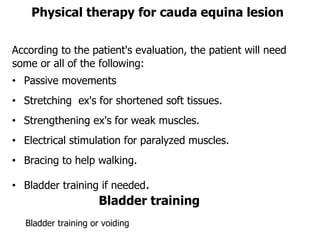cauda equina syndrome 2021 (lumbar) .pdf