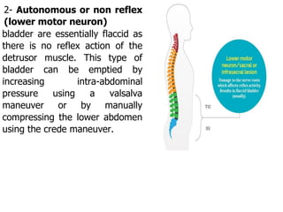 cauda equina syndrome 2021 (lumbar) .pdf