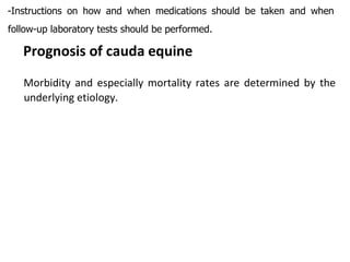 cauda equina syndrome 2021 (lumbar) .pdf