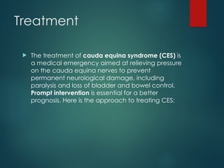Cauda Equina Syndrome by Gresh Kumar-2.pptx