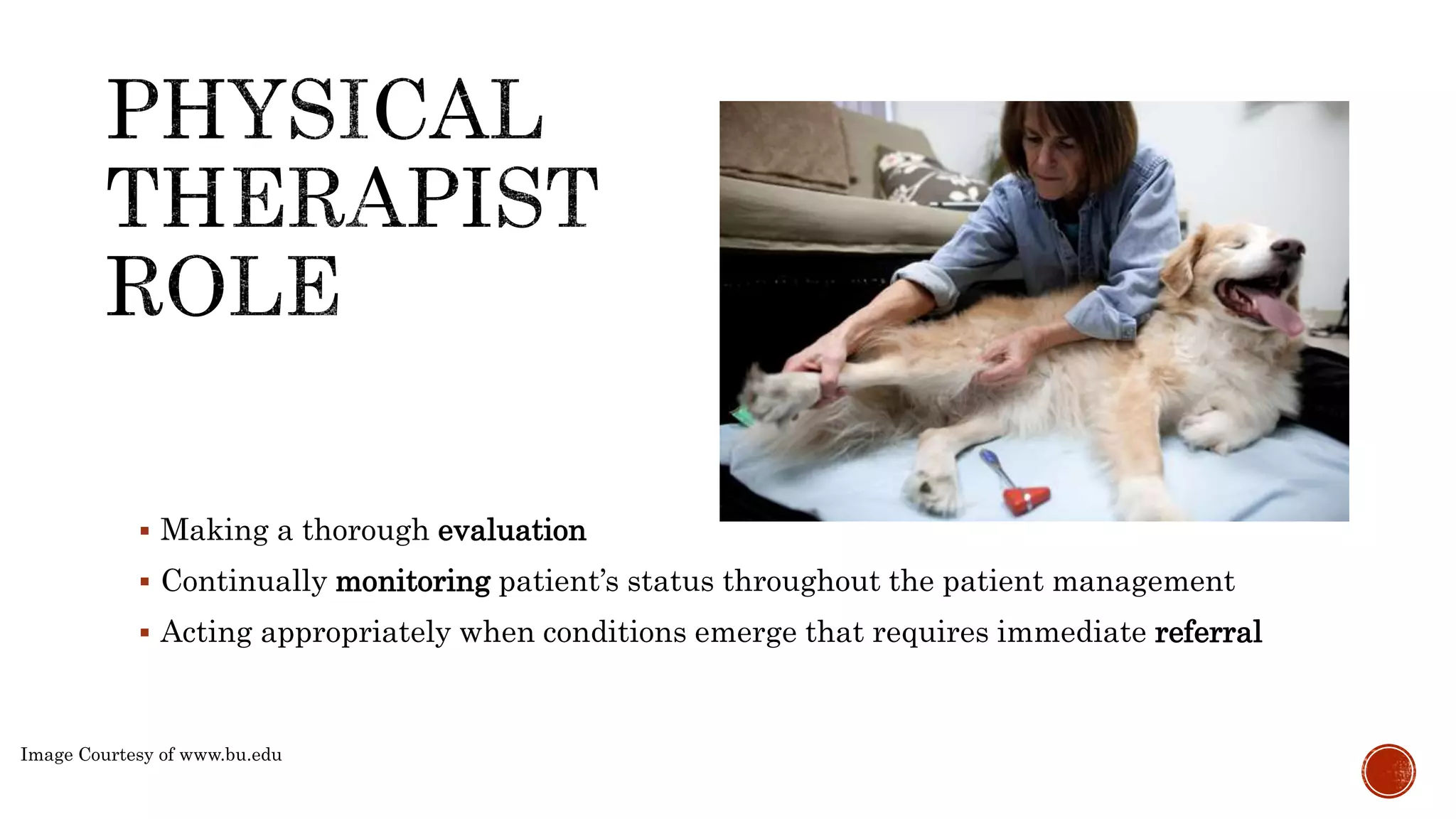 Cauda equina syndrome | PPTX