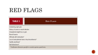 Cauda equina syndrome | PPTX