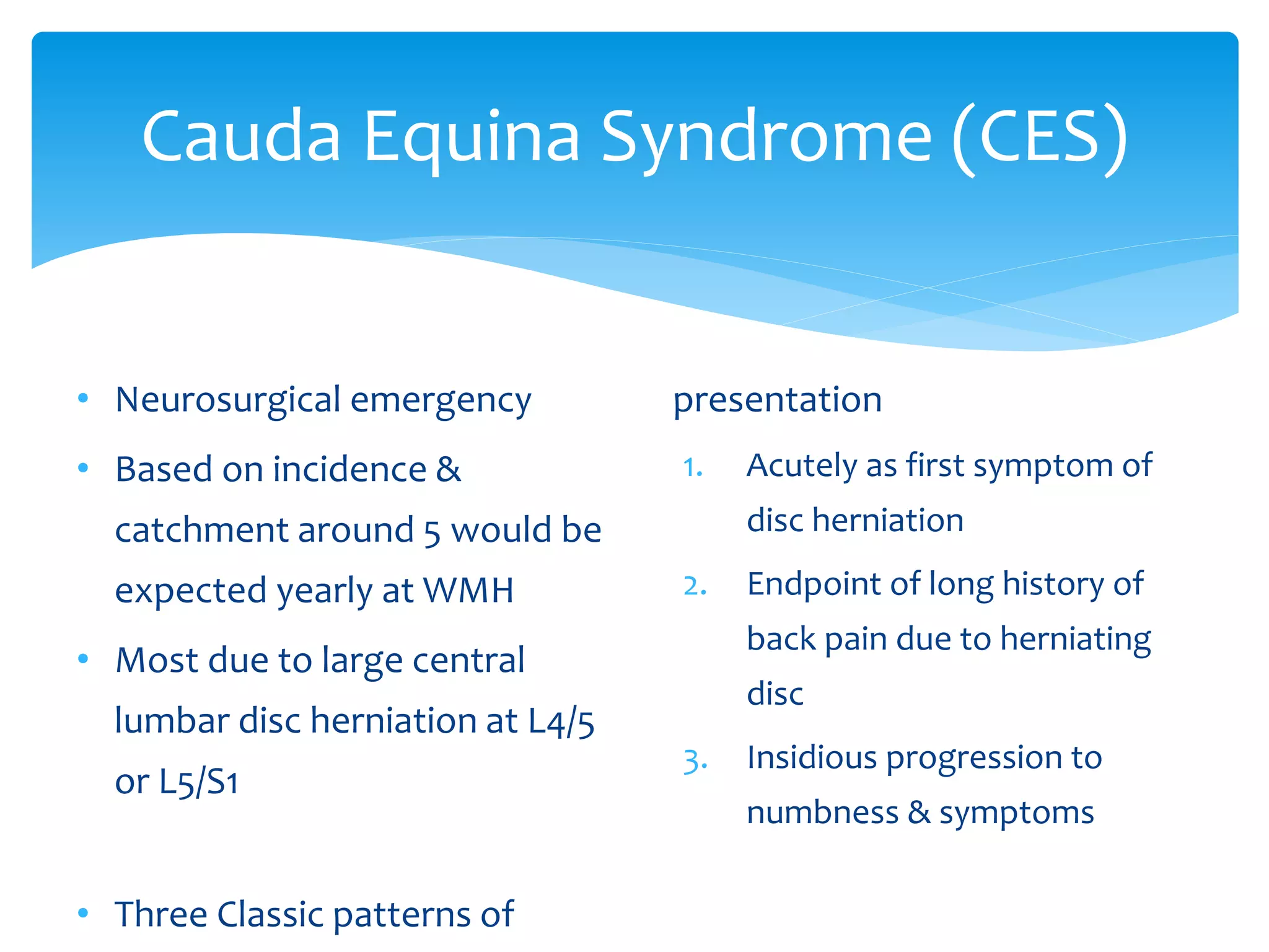 Cauda equina syndrome - Dafydd Loughran | PPTX