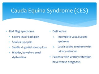 Sexual Dysfunction Cauda Equina Syndrome Best Sale ...