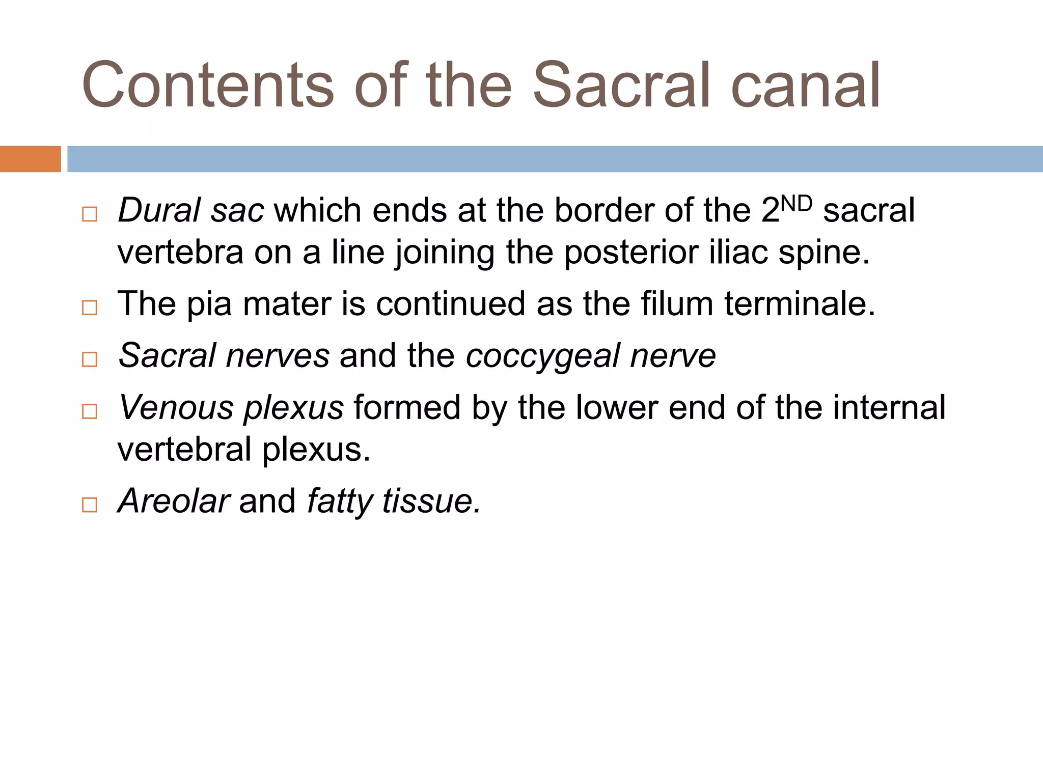 Caudal anesthesia | PPTX