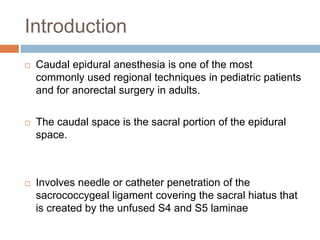 Caudal anesthesia | PPTX